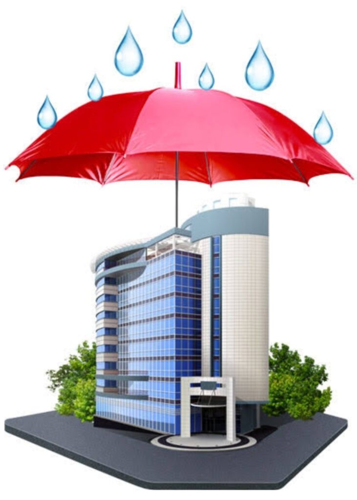 About Live Construction Solutions Private Limited